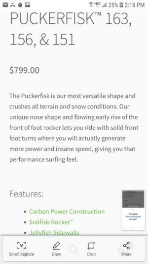 151 Snofisk Puckerfisk Carbon Fiber snowboard